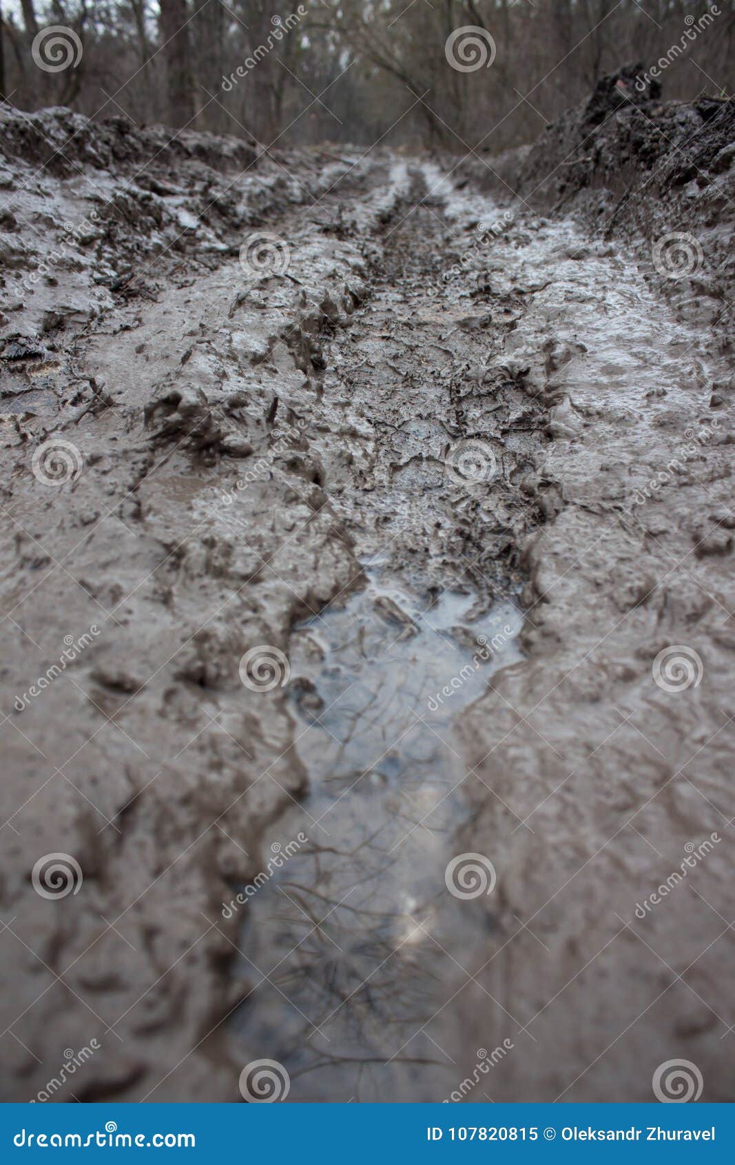 Mud on the road stock image. Image of slob, clay, slush - 107820815
