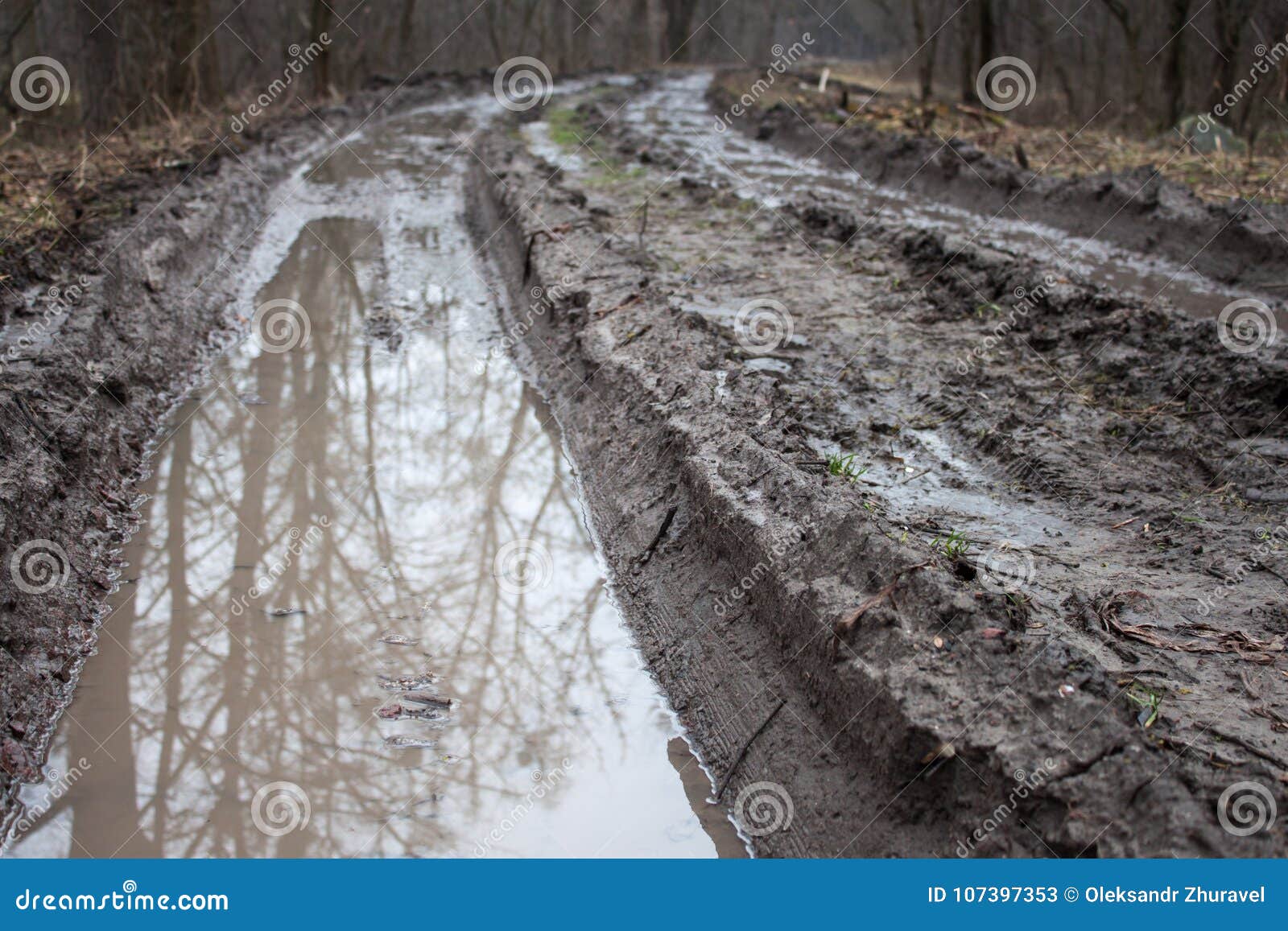 Mud on the road stock image. Image of track, grass, vehicle - 107397353