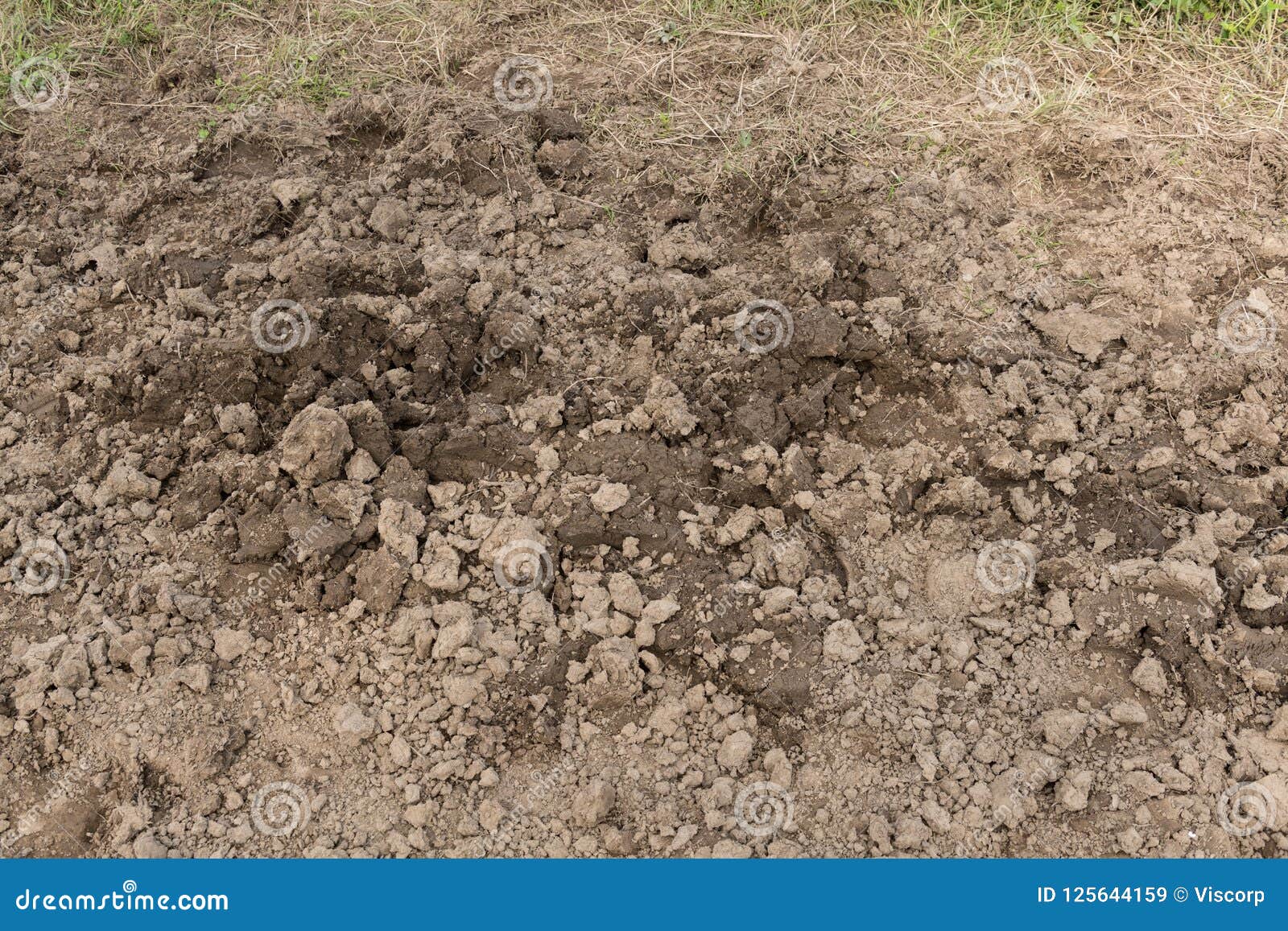 Mud Road Texture stock image. Image of conservation - 125644159