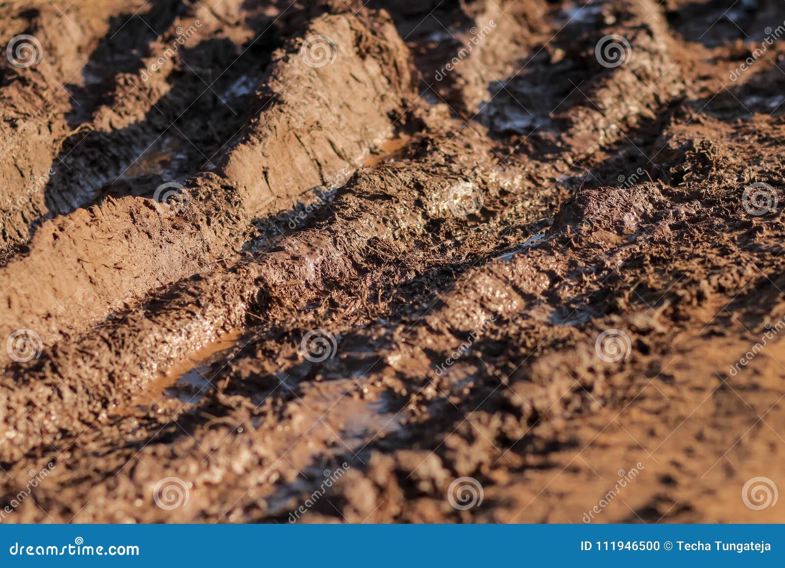 Mud road stock photo. Image of drive, abstract, brown - 111946500