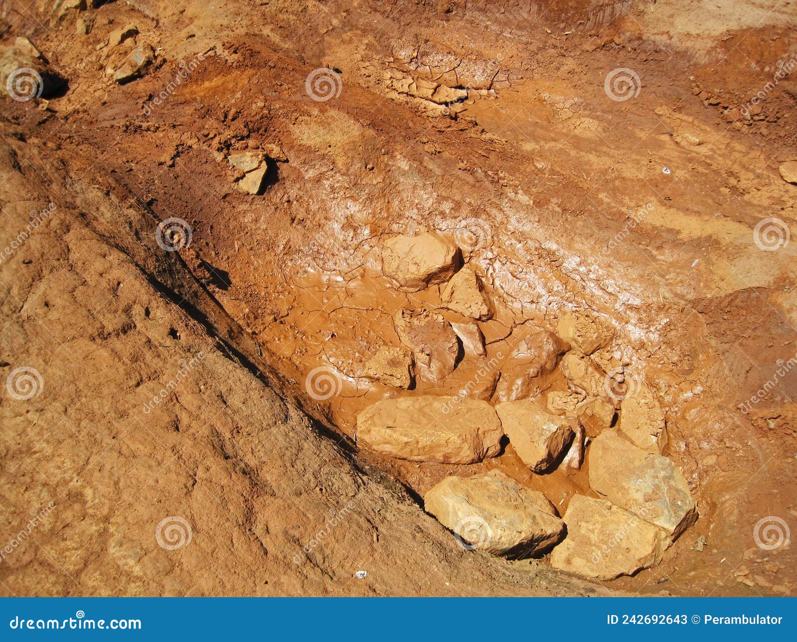 With Deeply Rutted, Water-filled, Muddy Tracks In The Foreground, A Wet ...