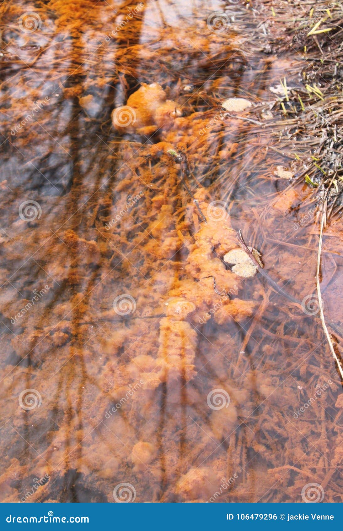 Mud and rust 2 stock photo. Image of rust, pond, look - 106479296