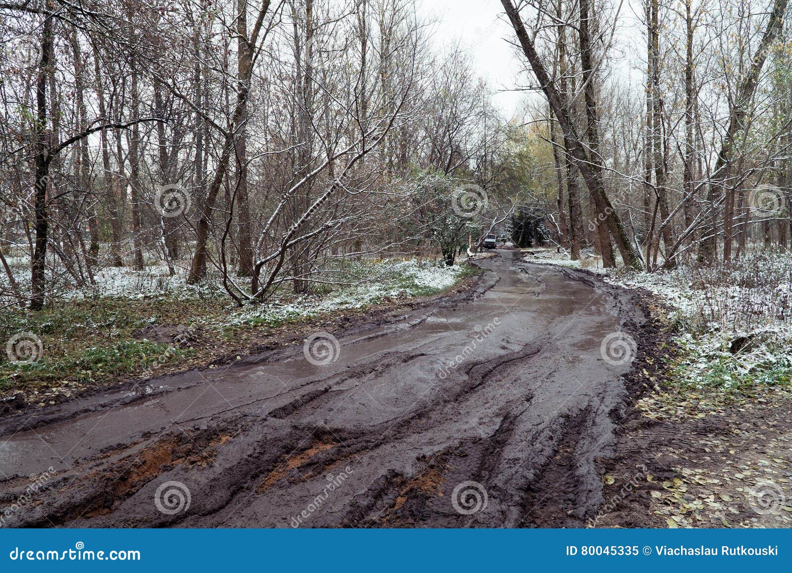 Mud rutted road in forest stock image. Image of trees - 80045335