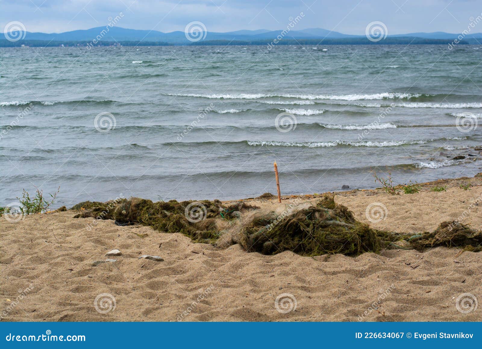 Mud on the Sandy Shore of the Lake Stock Image - Image of dawn, fishing ...