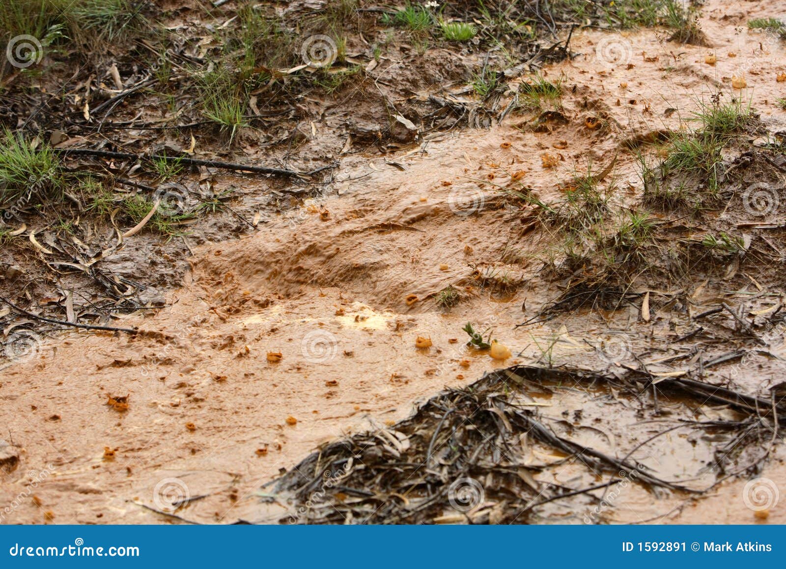 Mud Slide stock image. Image of raining, drops, outdoors - 1592891