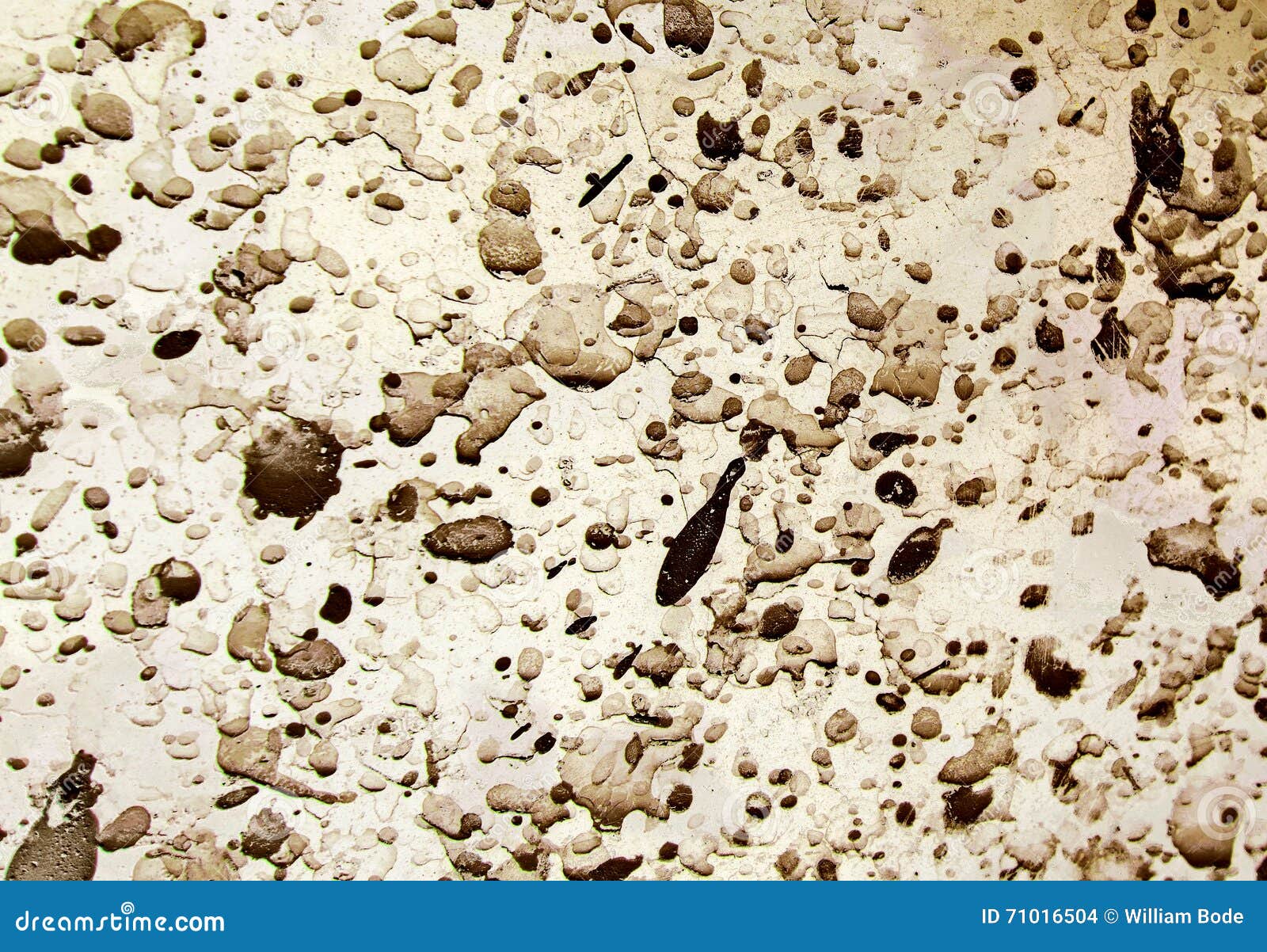 Mud Spatter texture stock photo. Image of closeup, sepia - 71016504