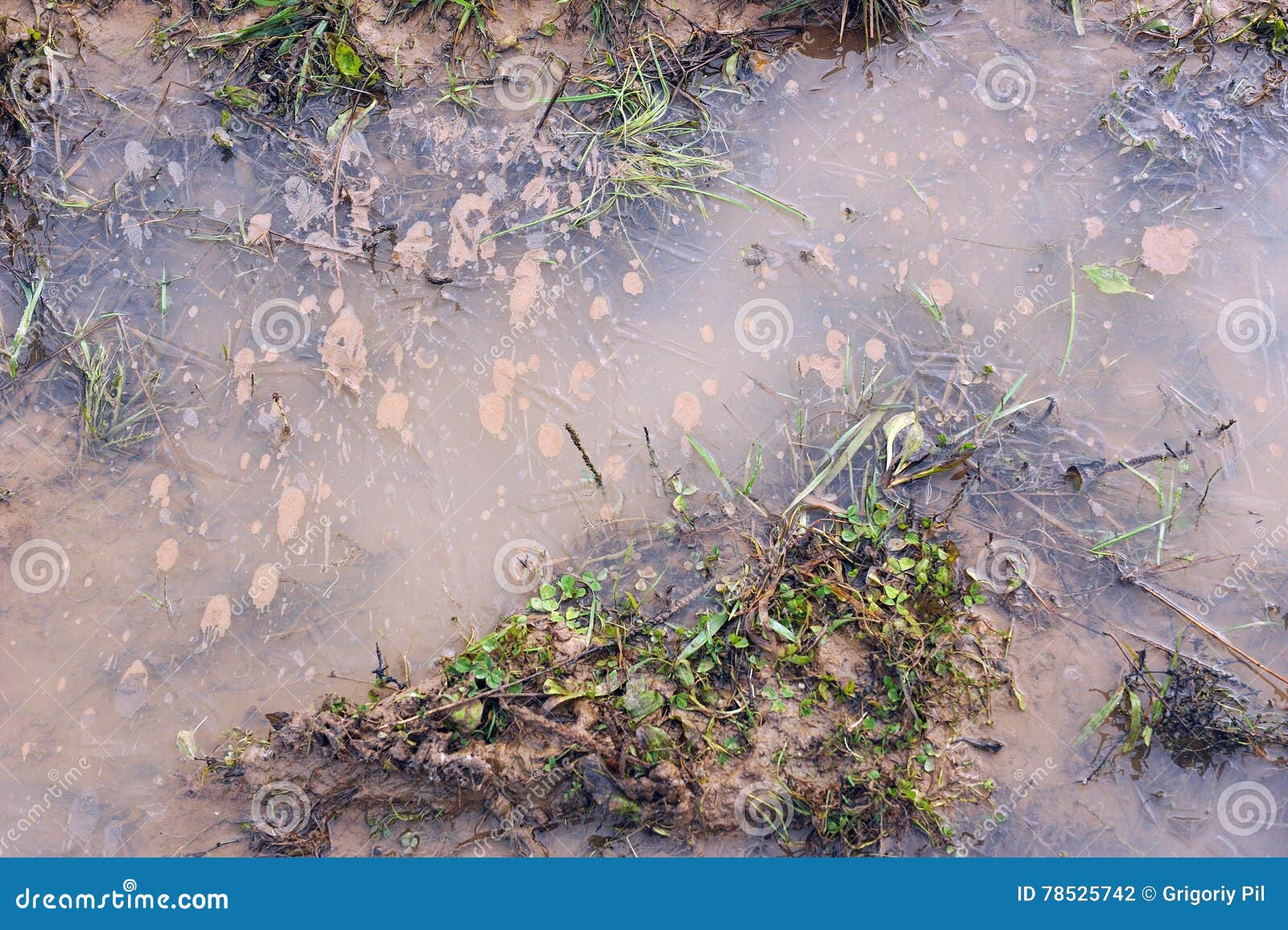 Mud splashes stock photo. Image of puddle, slurry, slush - 78525742