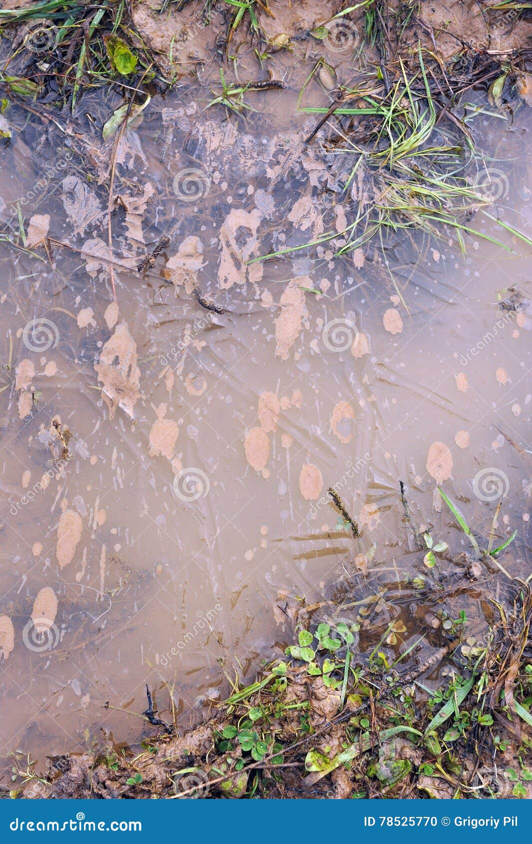 Mud splashes stock photo. Image of background, puddle - 78525770