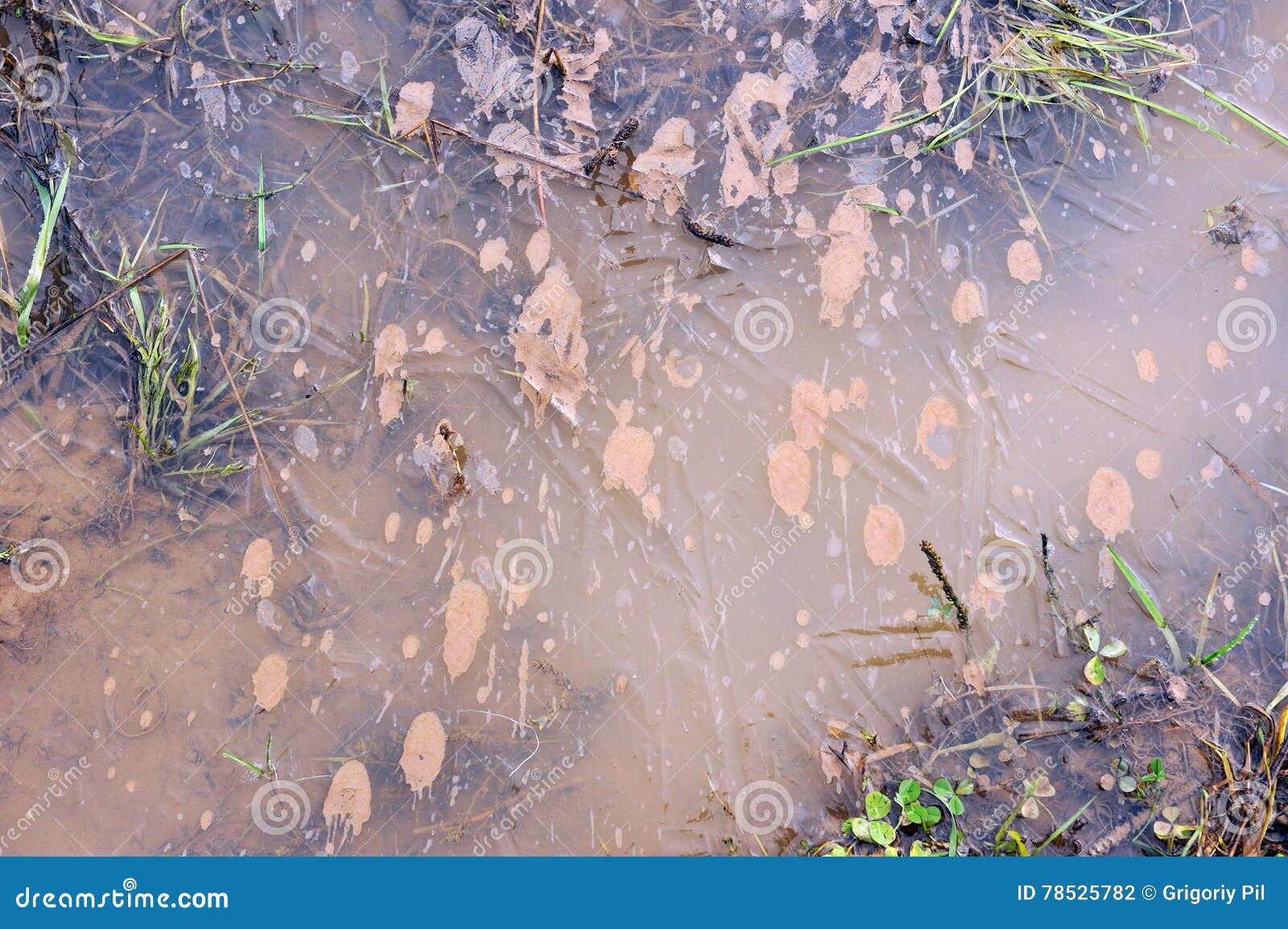 Mud splashes stock photo. Image of clay, artistic, texture - 78525782