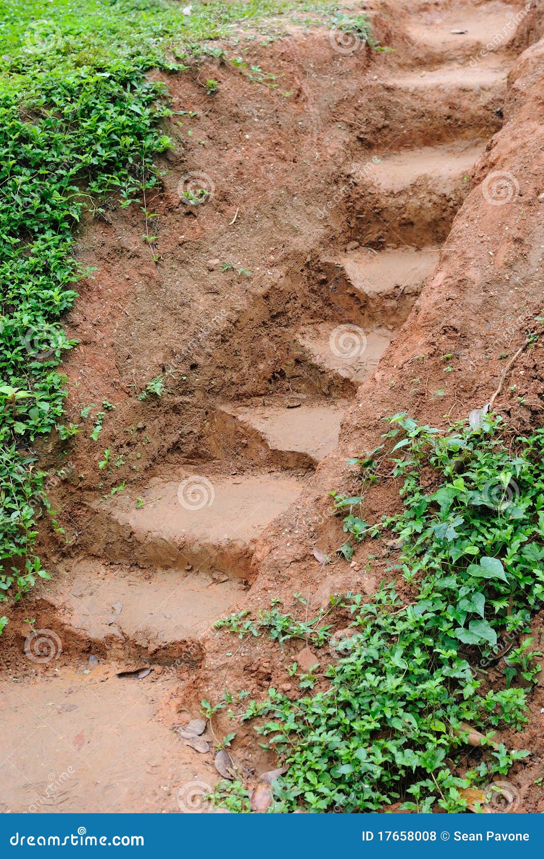 Mud Steps stock photo. Image of dirty, ground, outdoors - 17658008