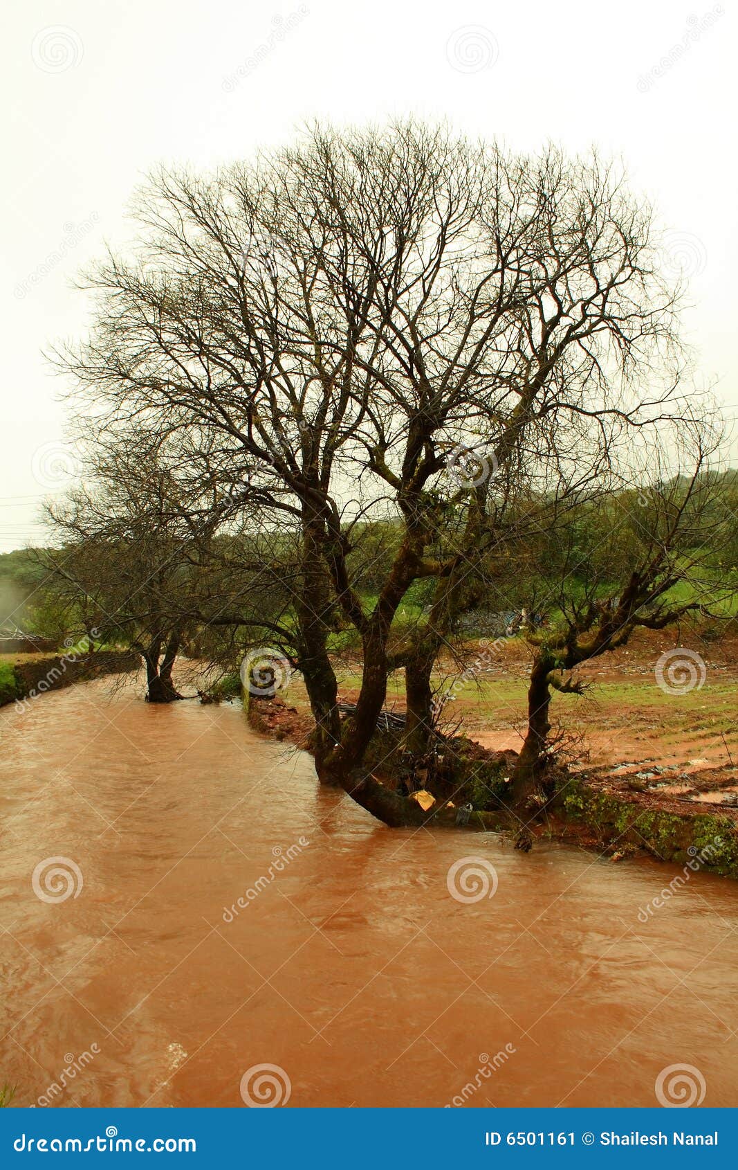 Mud stream stock image. Image of clarity, stream, natural - 6501161