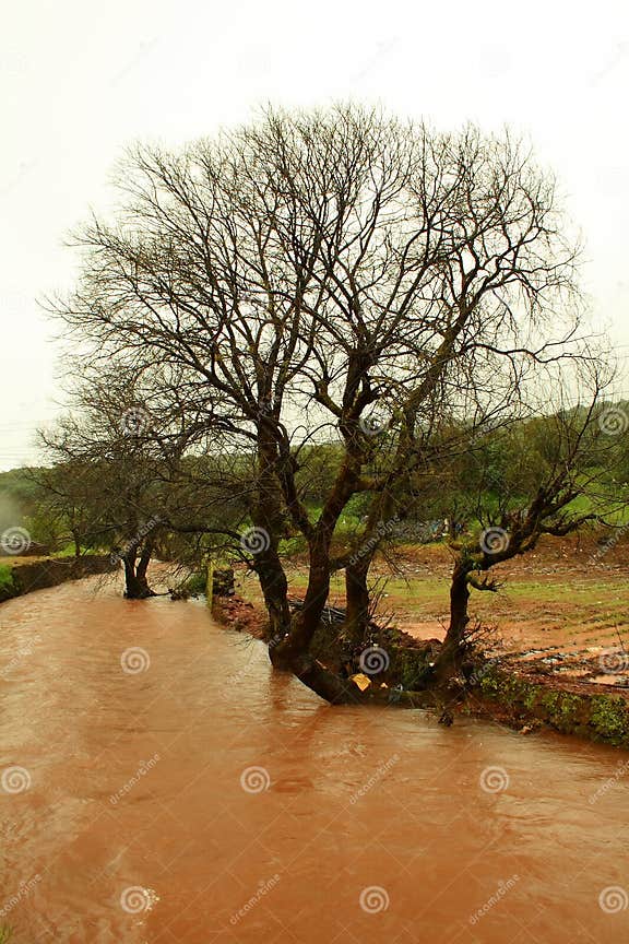 Mud stream stock image. Image of clarity, stream, natural - 6501161