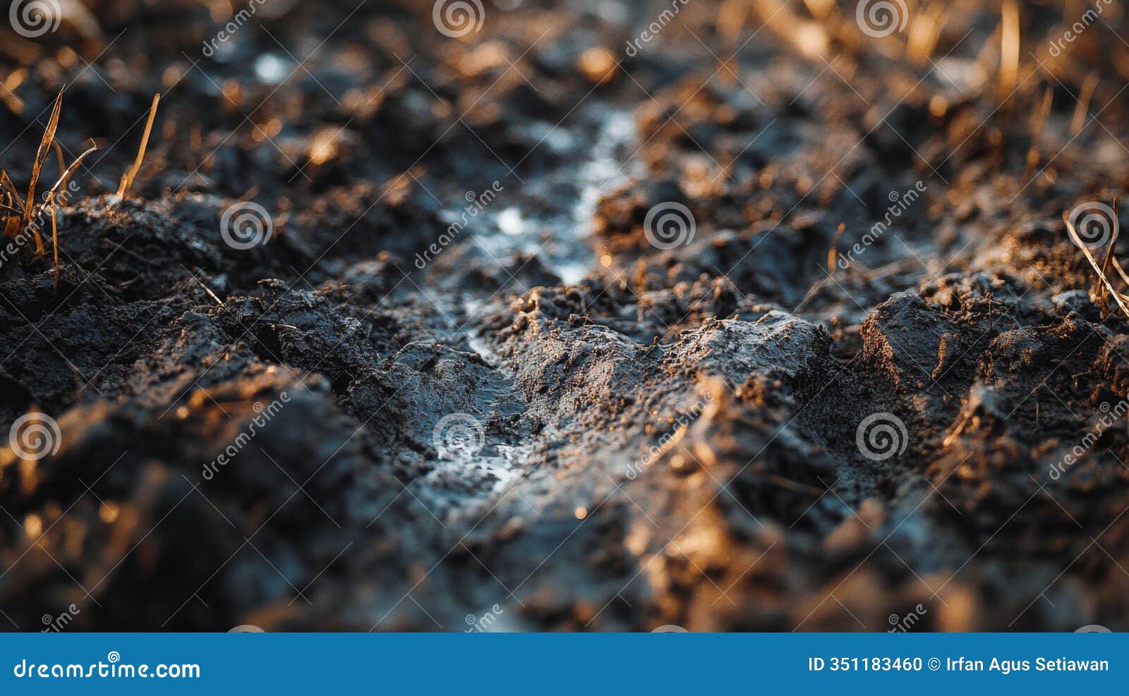 Mud Terrain Water Stream Golden Hour Light Stock Illustration ...