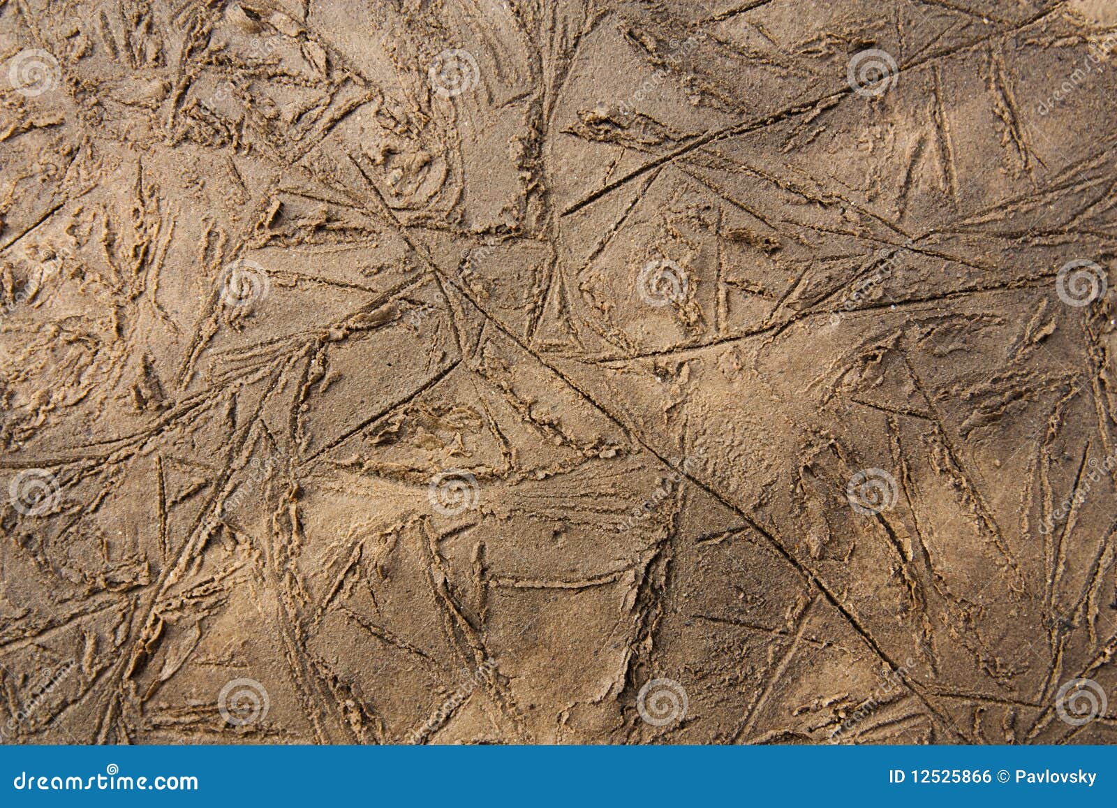 Mud Texture Stock Photography | CartoonDealer.com #12525866