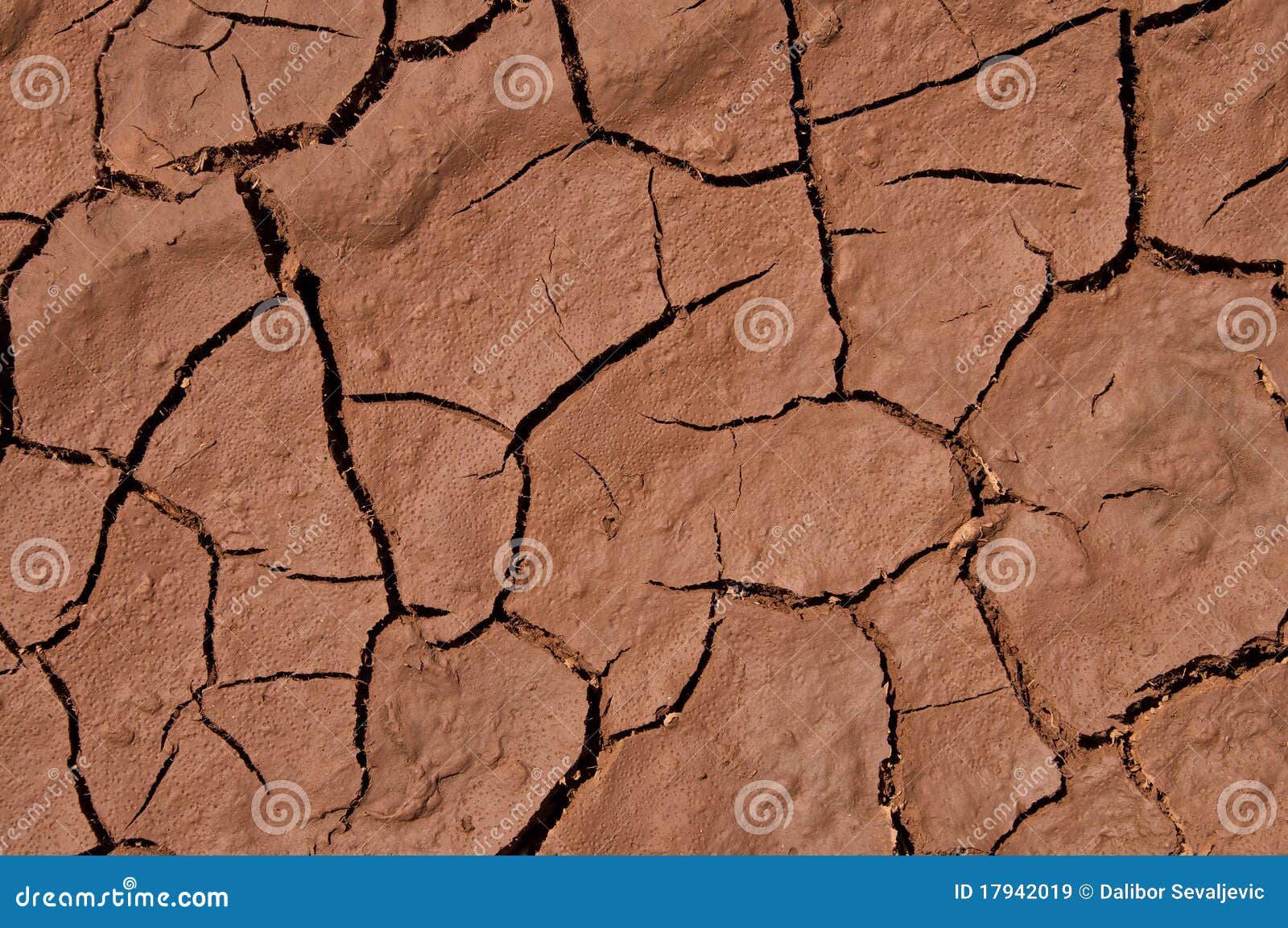 Mud texture stock image. Image of crack, drought, land - 17942019