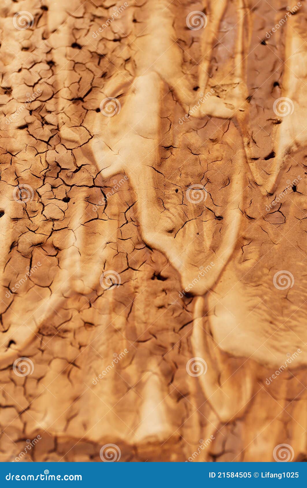 Mud texture stock image. Image of gray, dirt, parched - 21584505