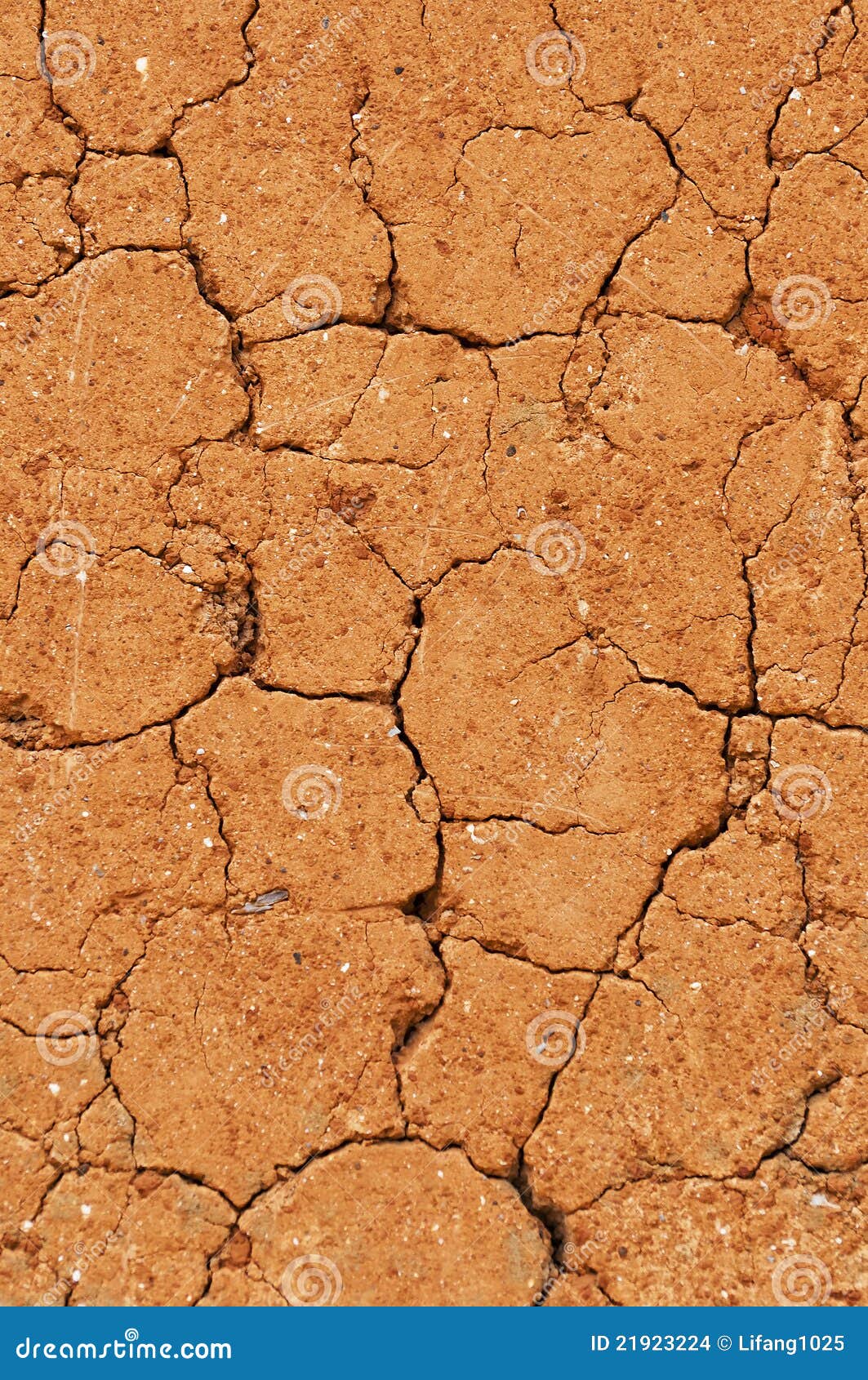 Mud texture stock photo. Image of nature, orange, rainless - 21923224