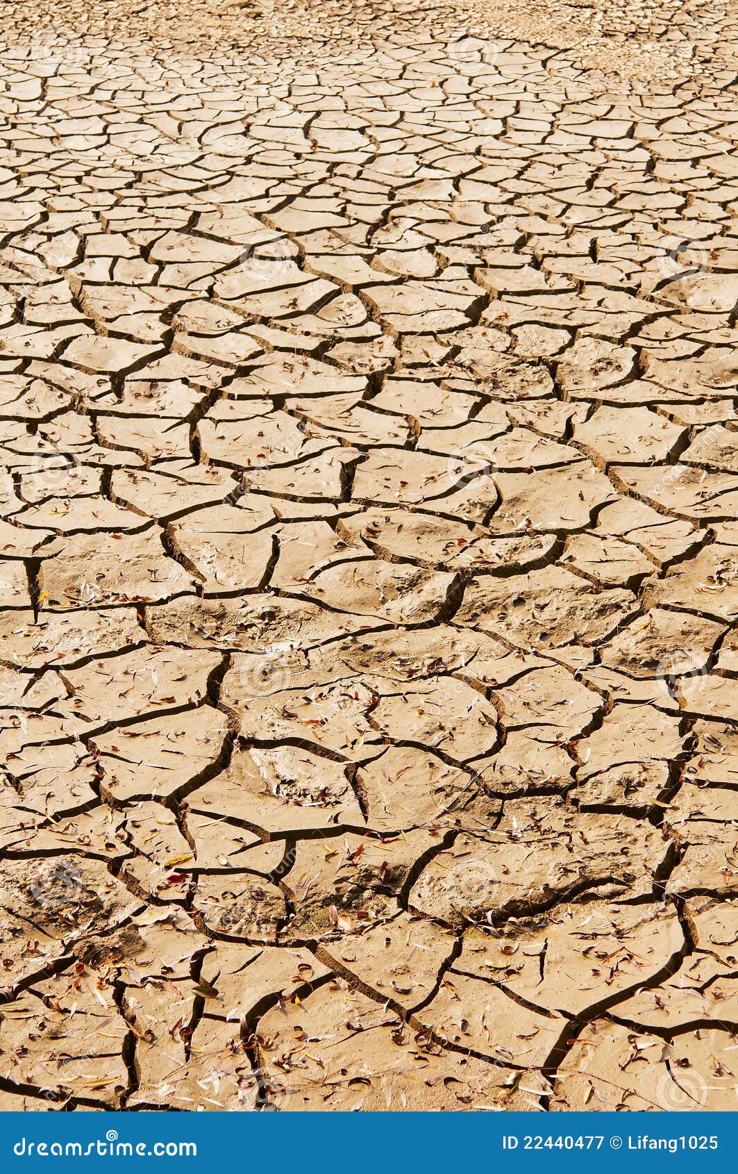 Mud texture stock image. Image of land, heat, droughty - 22440477