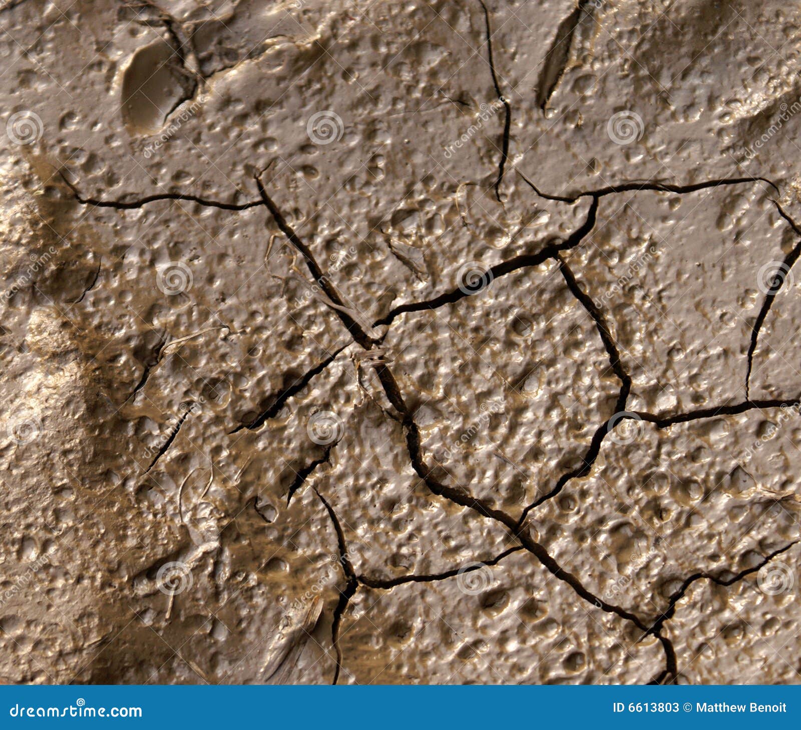 Mud Texture Picture. Image: 6613803
