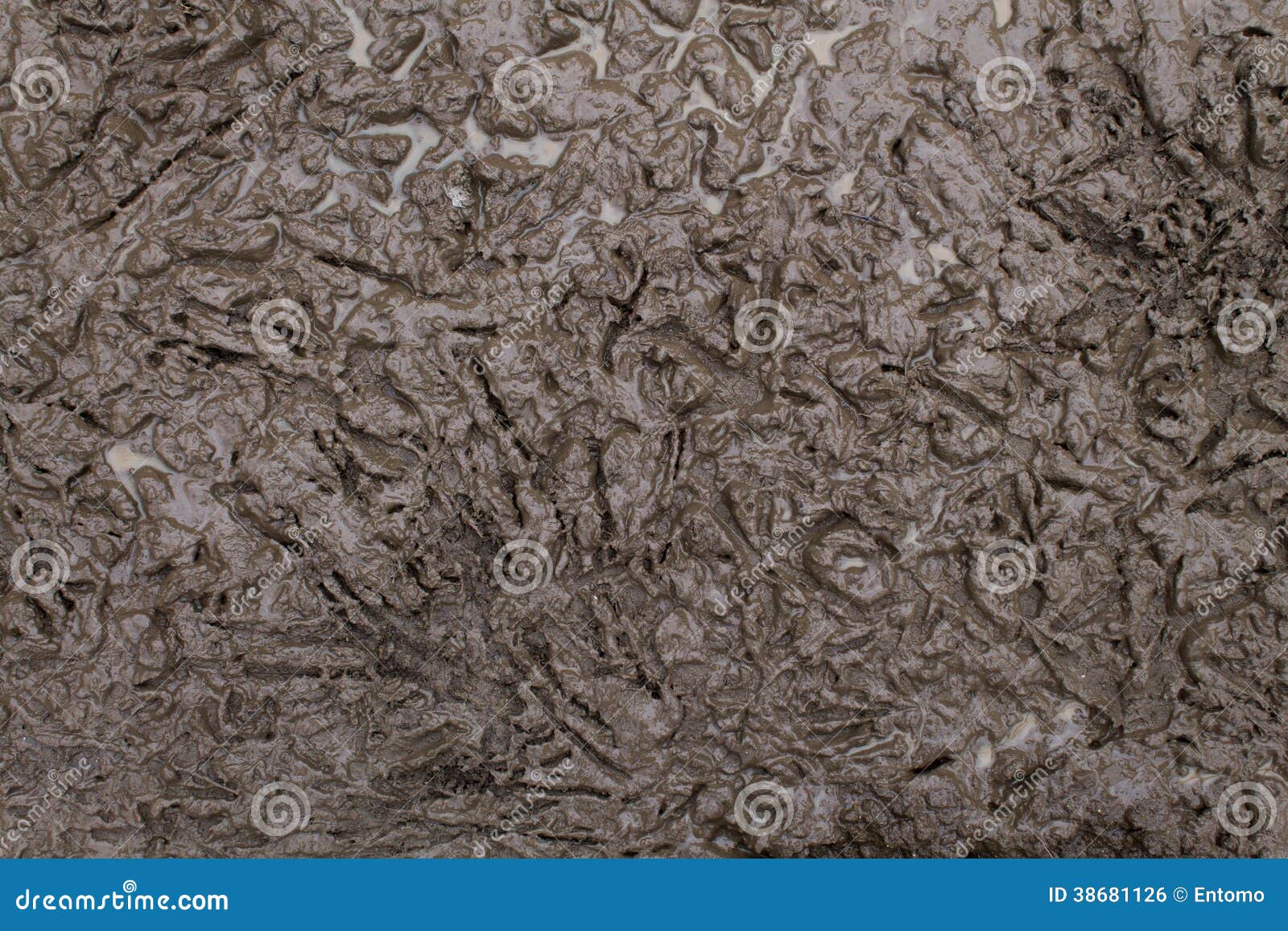 Mud Texture Stock Photography | CartoonDealer.com #38681126