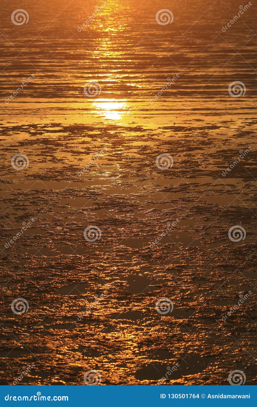 Mud Texture on the Beach with Dramatic Sunset Backlighting. Stock Photo ...