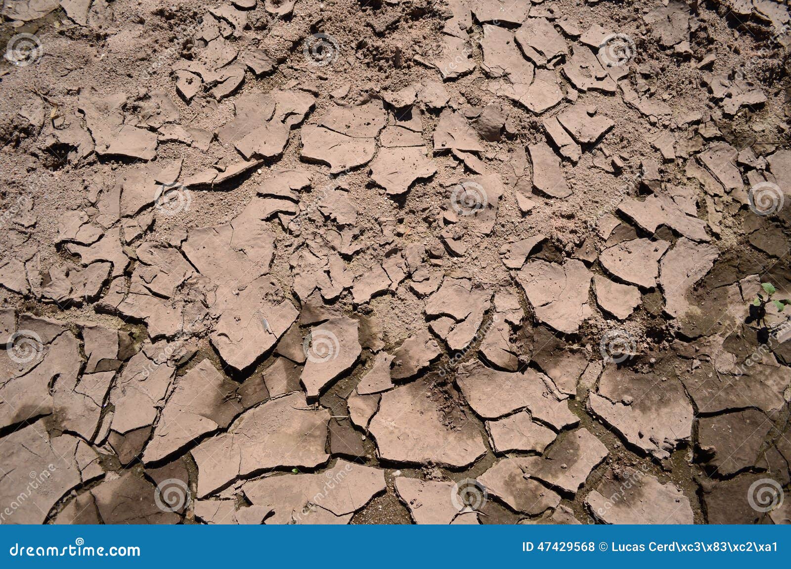 Mud texture stock photo. Image of droughty, dehydrated - 47429568