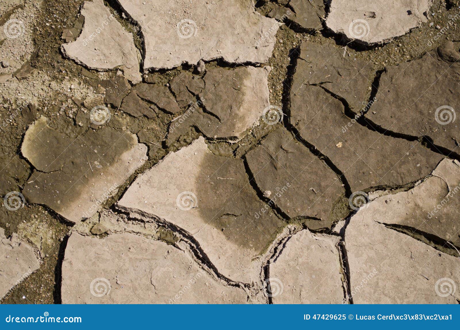 Mud texture stock image. Image of close, loam, drought - 47429625