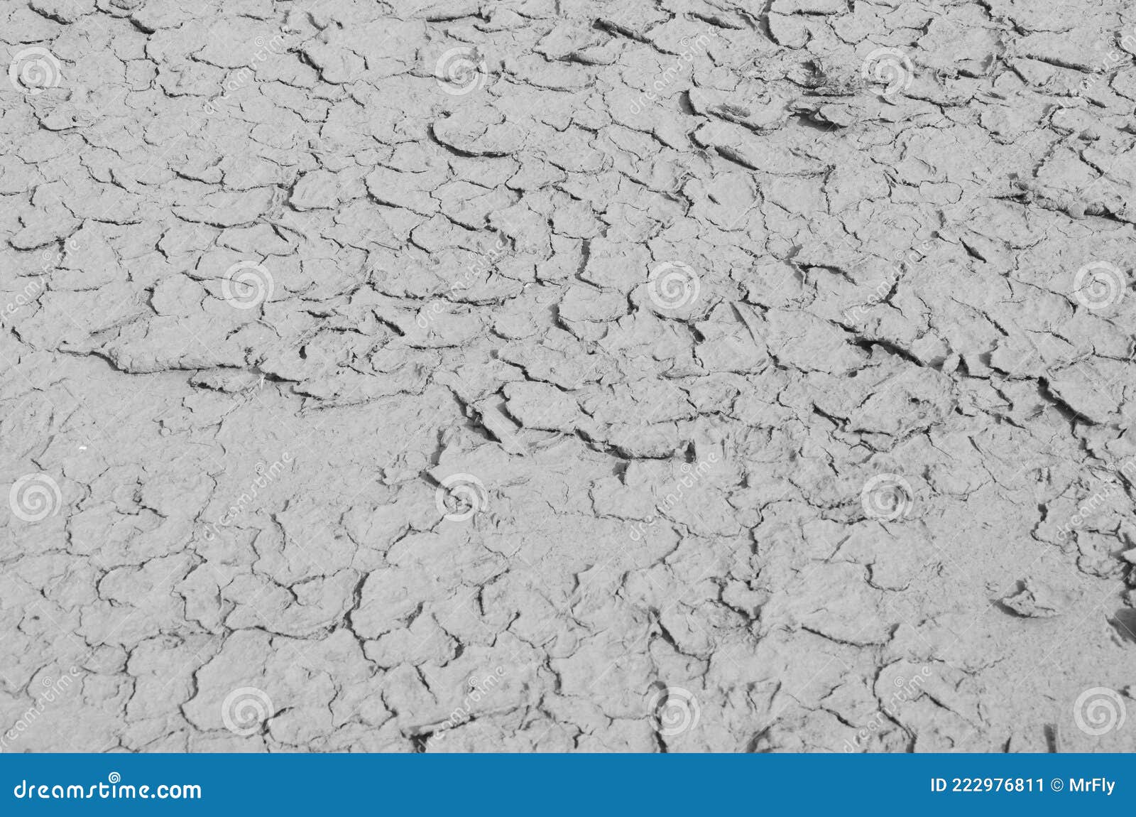Mud Texture, Cracked Grey Surface Stock Image - Image of brown, crack ...
