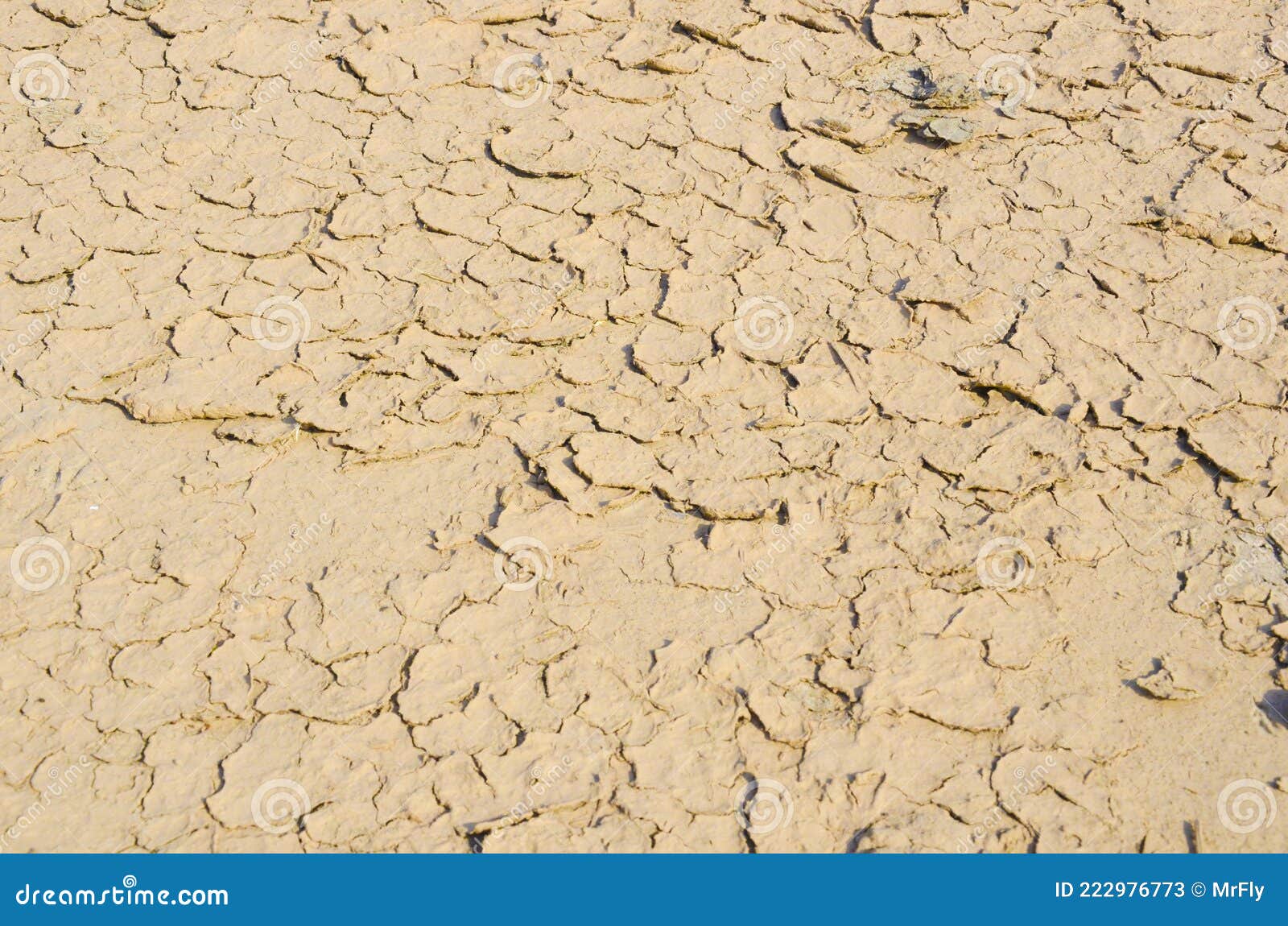Mud Texture, Cracked Yellow Surface Stock Image - Image of dried ...