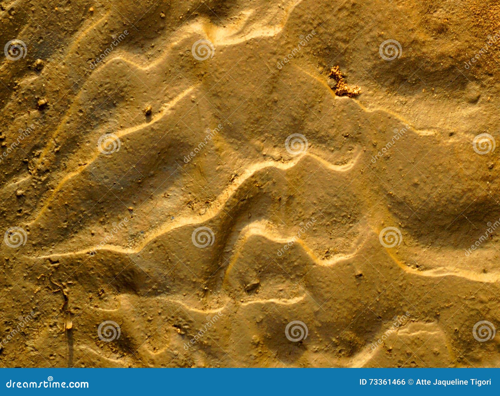 MUD TEXTURE stock photo. Image of slurry, background - 73361466