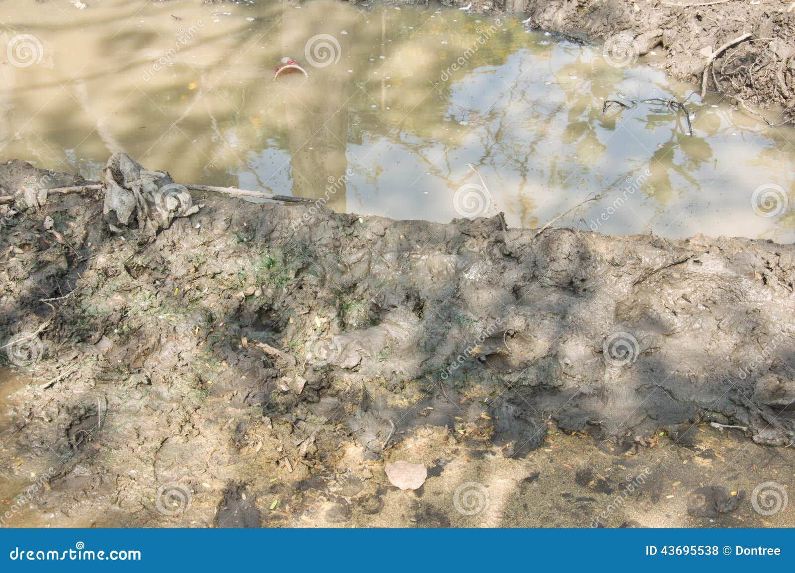 Mud texture stock photo. Image of muddy, brown, texture - 43695538