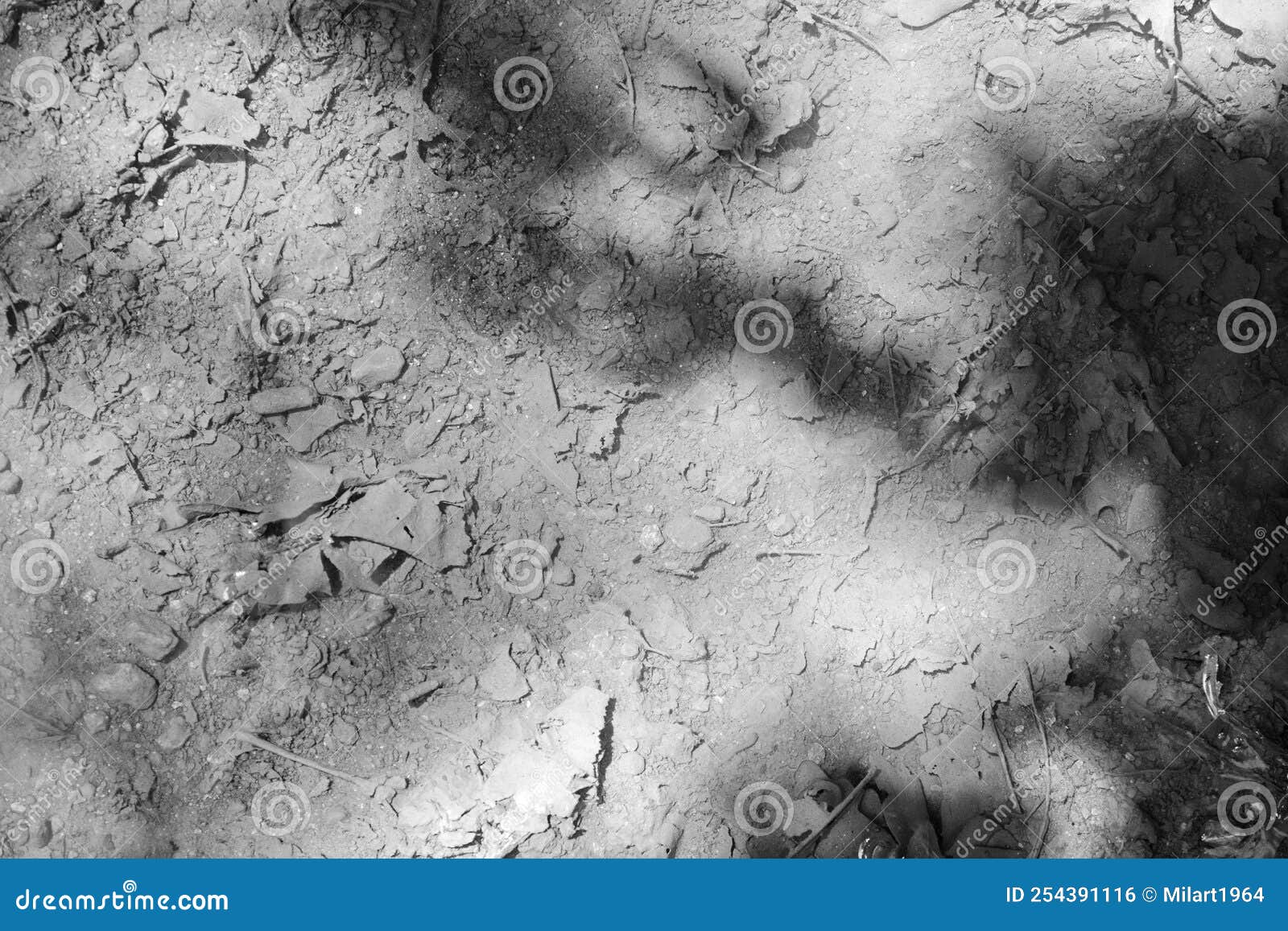 Mud Texture or Wet Gray Soil Stock Photo - Image of mess, muck: 254391116