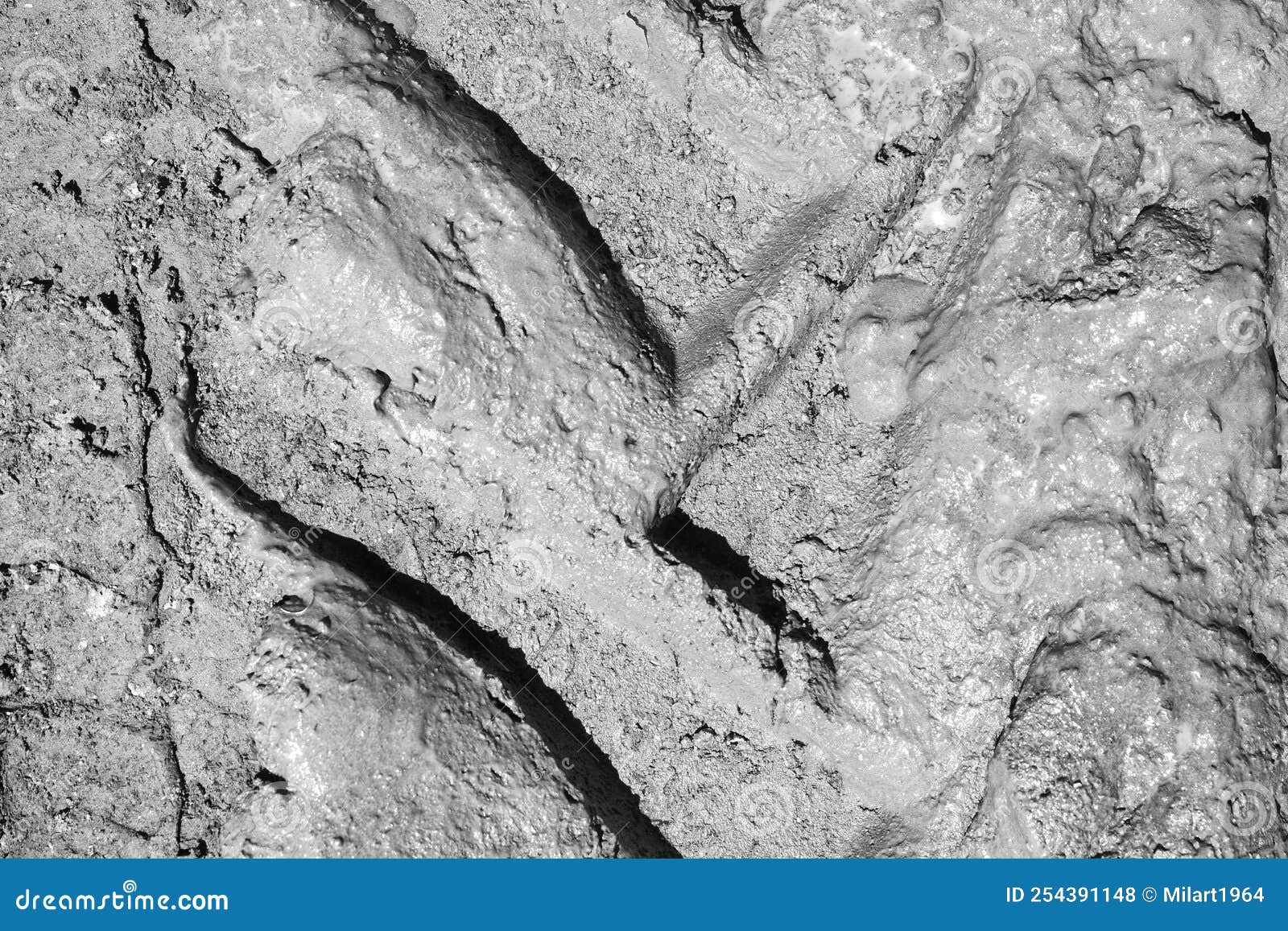 Mud Texture or Wet Gray Soil Stock Photo - Image of earth, gray: 254391148