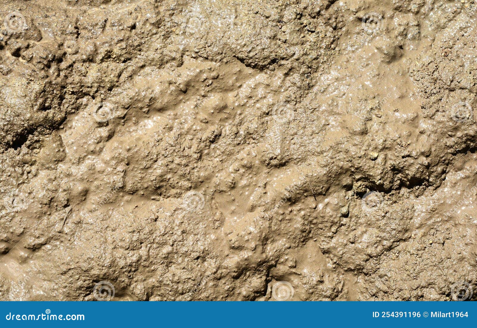 Mud Texture or Wet Gray Soil Stock Photo - Image of nature, material ...