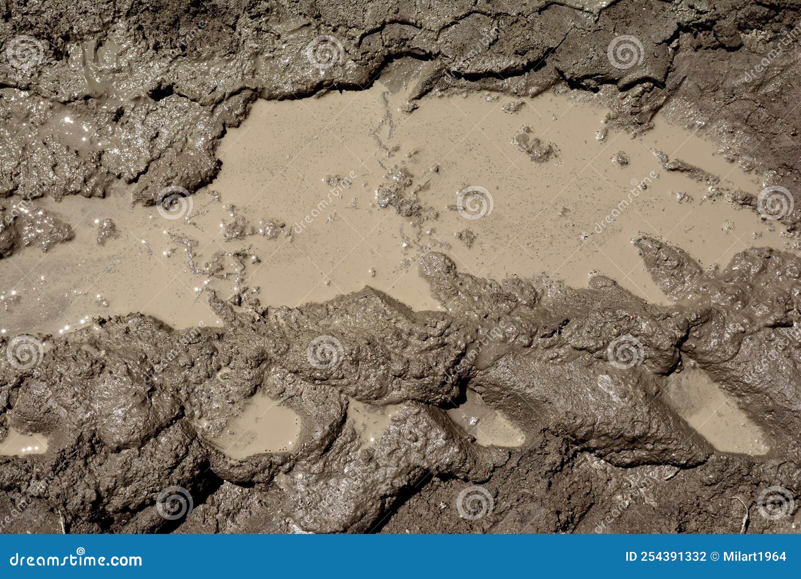 Mud Texture or Wet Gray Soil Stock Photo - Image of mess, organic ...