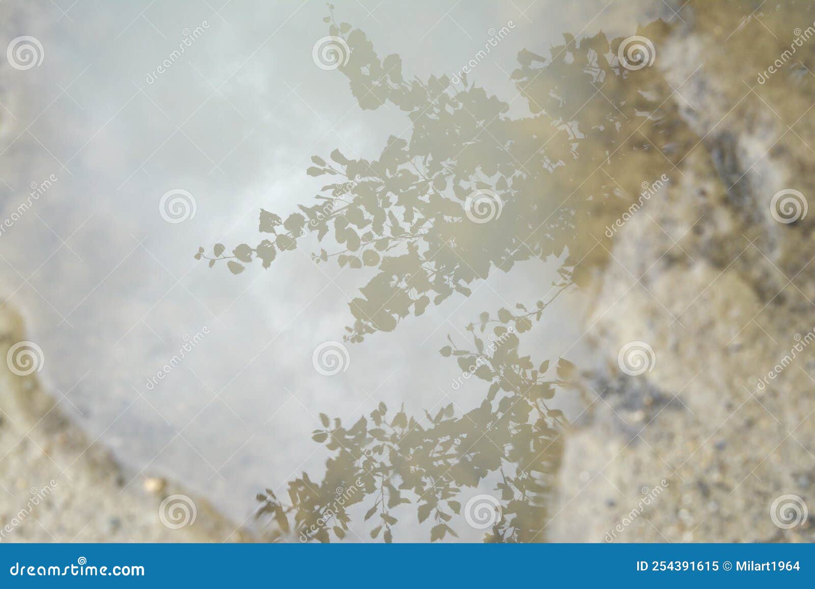Mud Texture or Wet Gray Soil Stock Image - Image of clay, mudded: 254391615