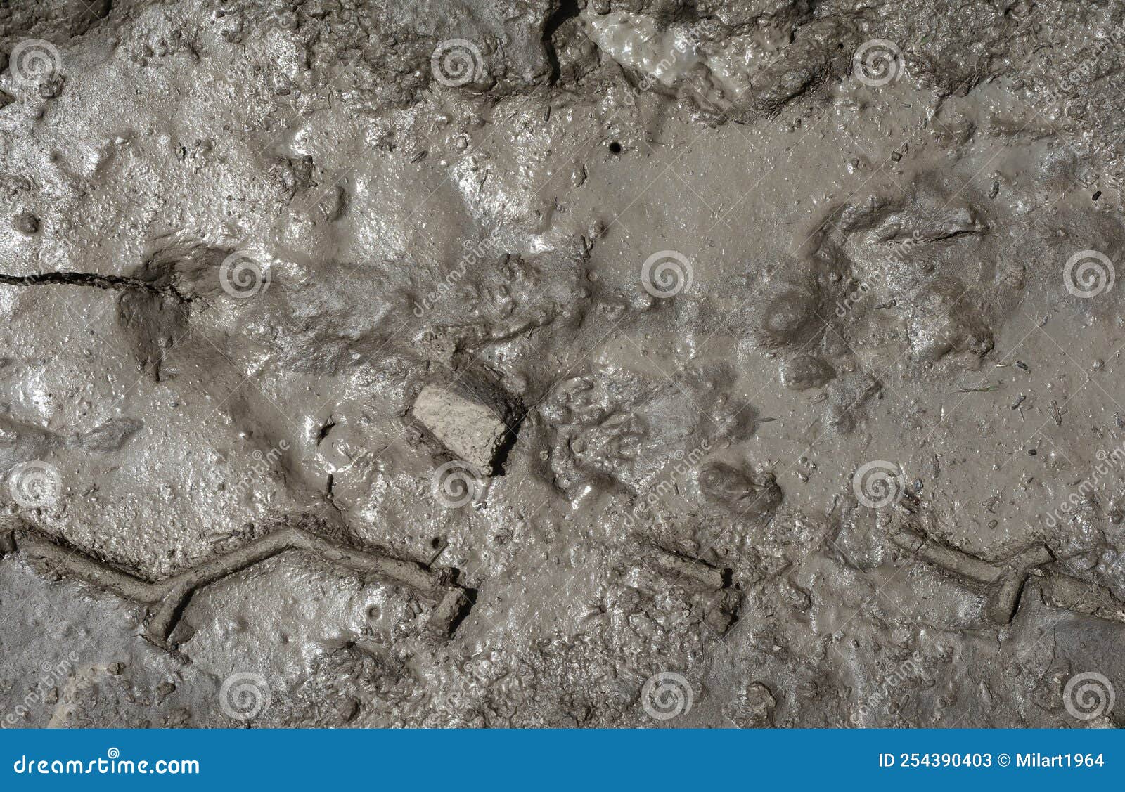 Mud Texture or Wet Gray Soil Stock Image - Image of dirt, brown: 254390403