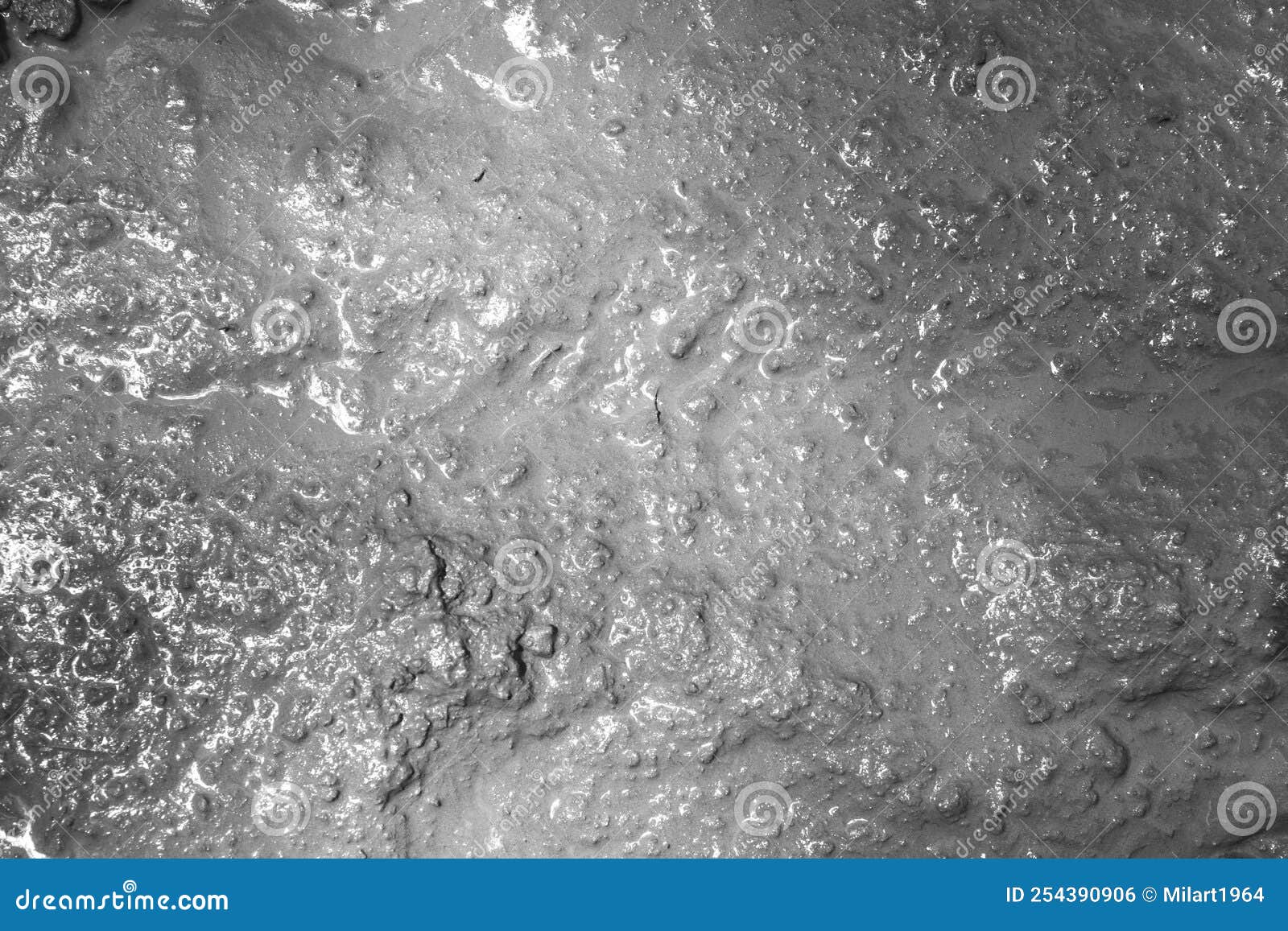 Mud Texture or Wet Gray Soil Stock Photo - Image of material, ground ...
