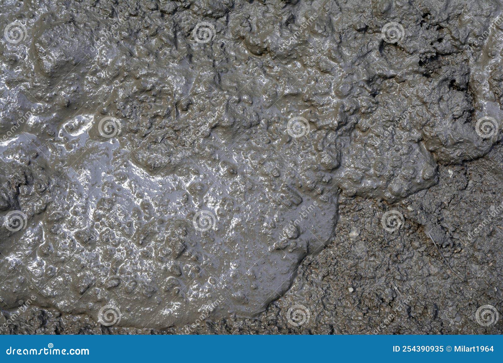 Mud Texture or Wet Gray Soil Stock Image - Image of dirt, clay: 254390935