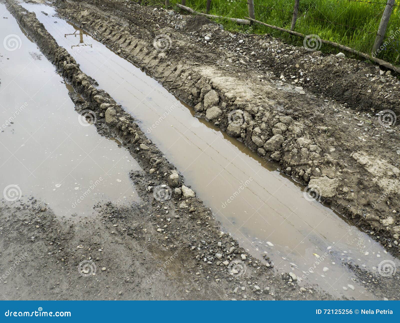 Mud tracks stock photo. Image of green, ecological, outdoors - 72125256