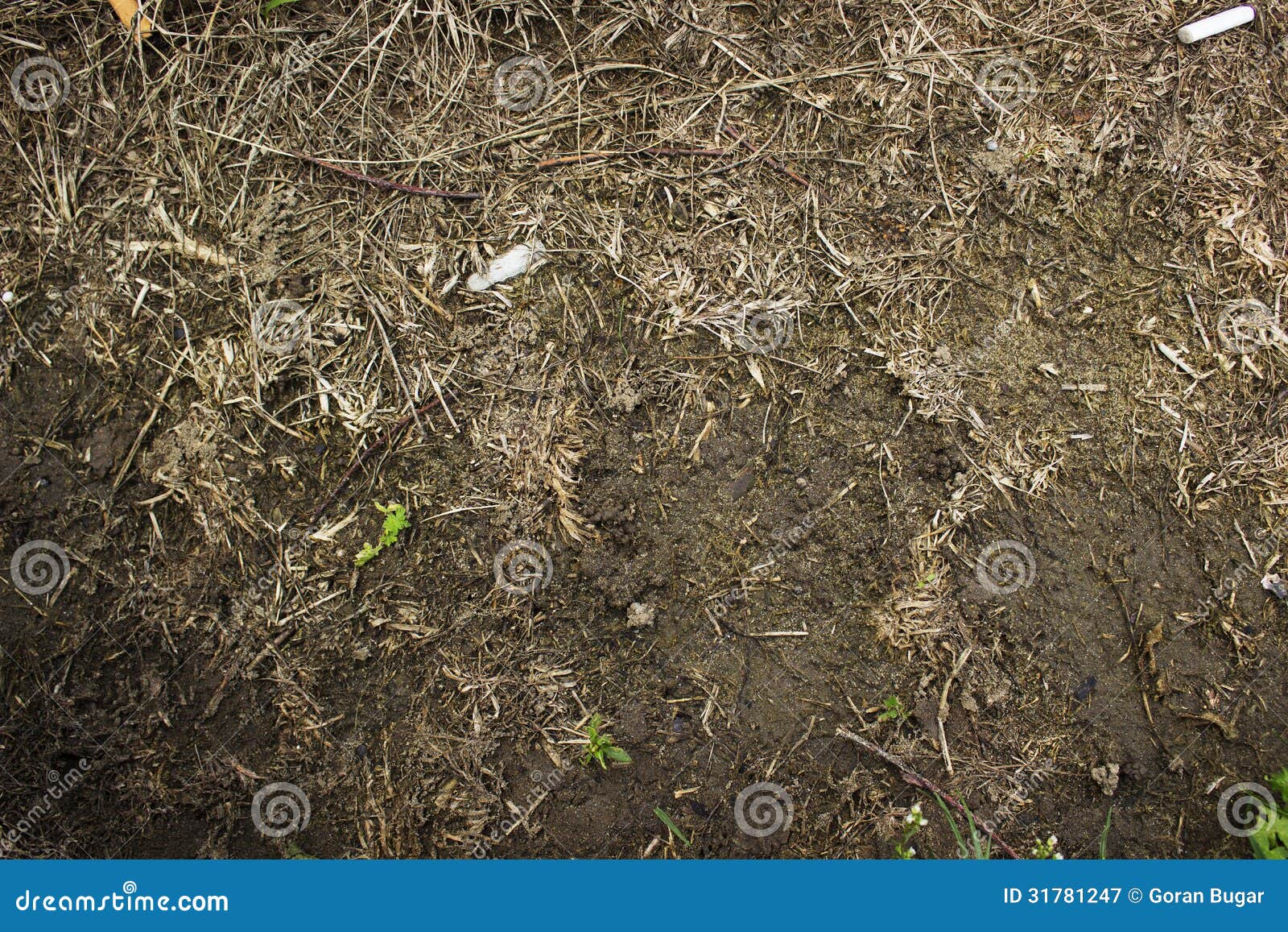 Mud, trash and grass stock image. Image of groin, ground - 31781247
