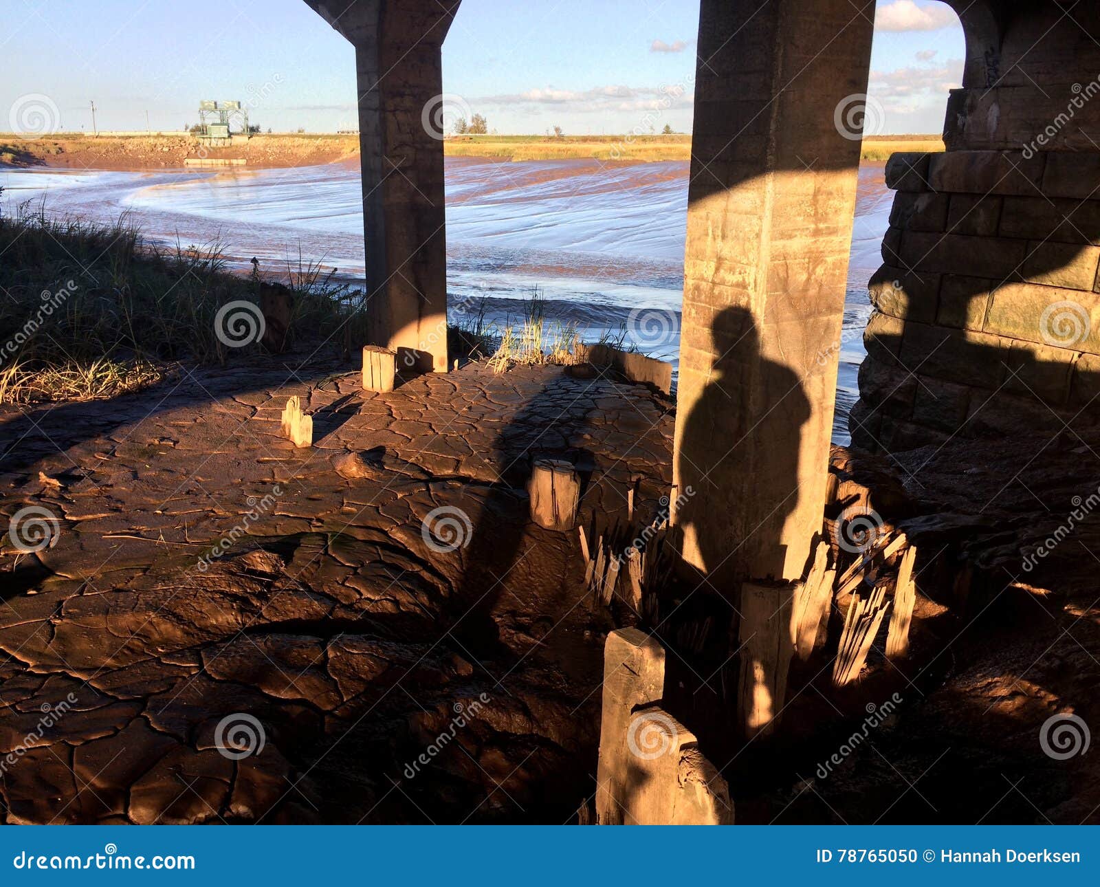 Mud under the bridge stock photo. Image of canada, water - 78765050