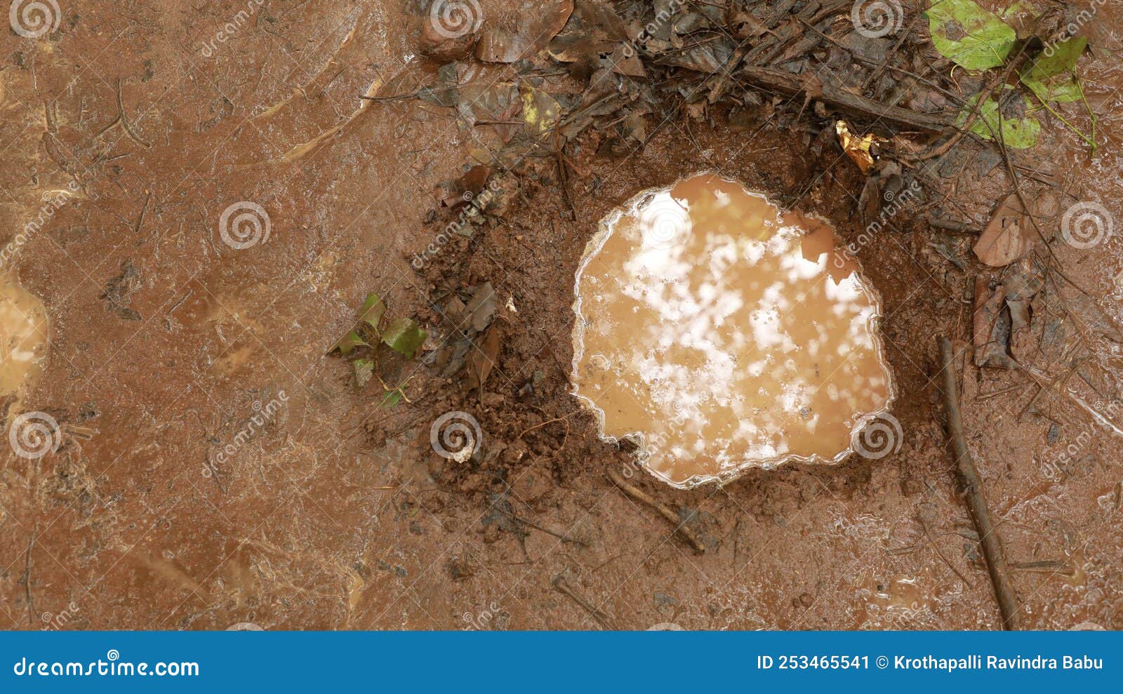 Mud water in the pit stock image. Image of fields, muddy - 253465541