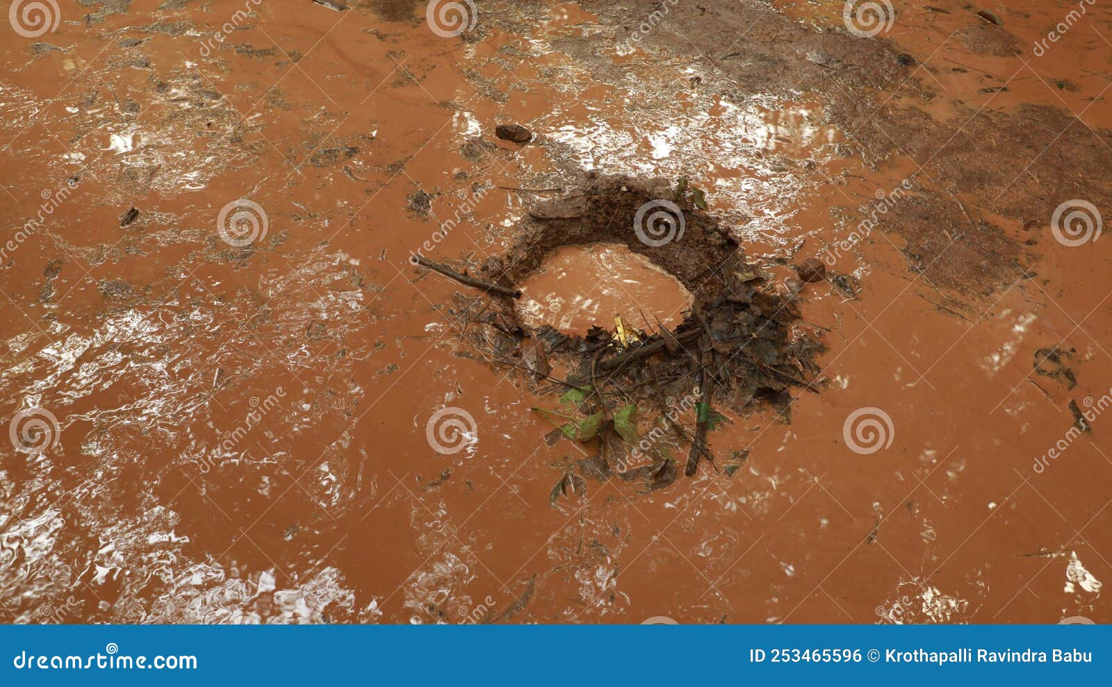 Mud water in the pit stock photo. Image of ground, muddy - 253465596