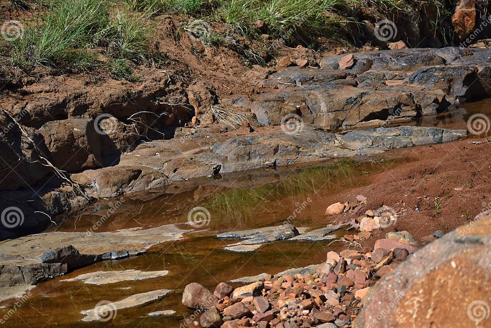 Rivers end stock photo. Image of landscape, river, stream - 253758250