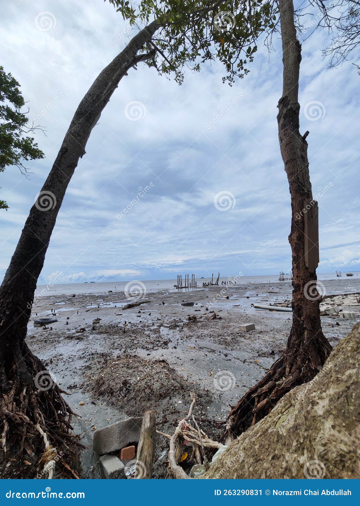 Muddy Beach Side with a Few Waders Stock Image - Image of muddy, waders ...