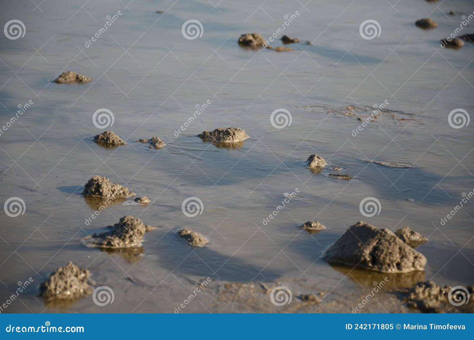 Muddy Bottom of the River with Cracks. in the Recesses of Colored Ice ...