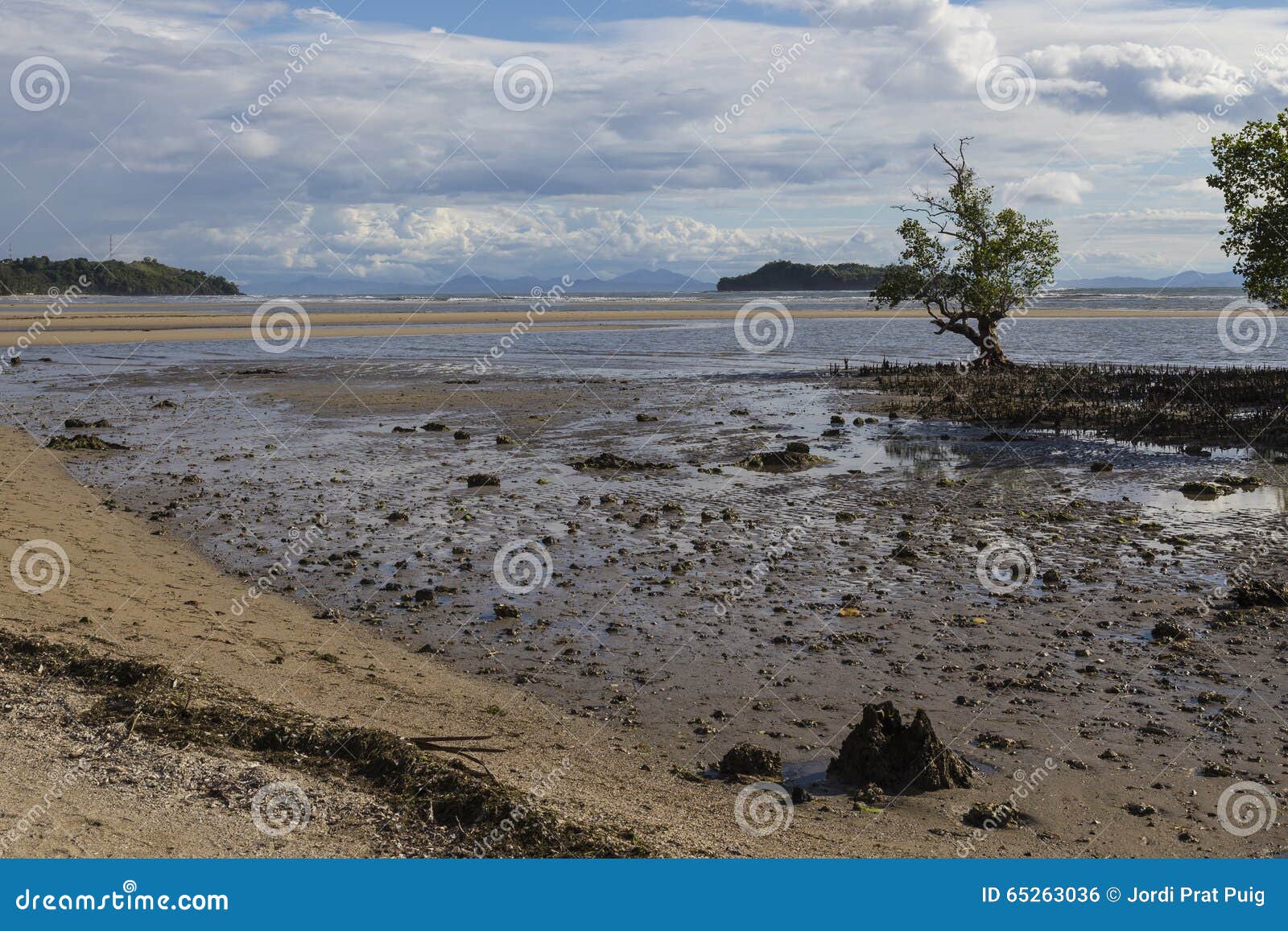 Muddy Coastal Beach Landscape Stock Photo - Image of muddy, water: 65263036