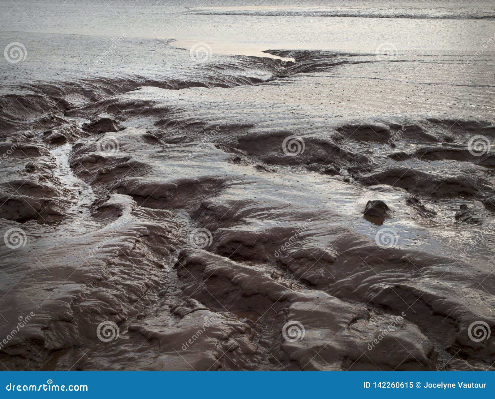 Water drenched mud flats stock image. Image of brown - 142260615