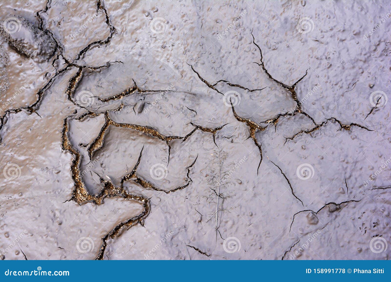 Muddy Cracked Texture Background. Muddy Cracked Surface Texture Stock ...